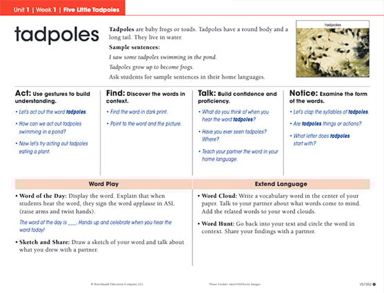 Express! - View Virtual Samples